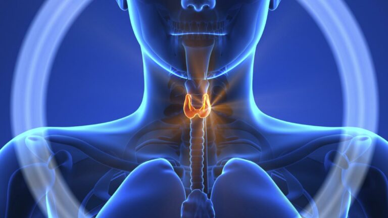 5 Herbs for Thyroid Wellness - The Holistic Highway